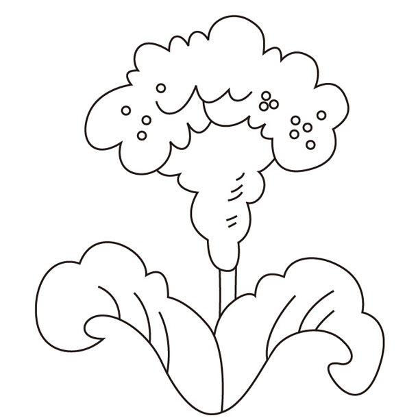 Coloring Plant Cockscomb